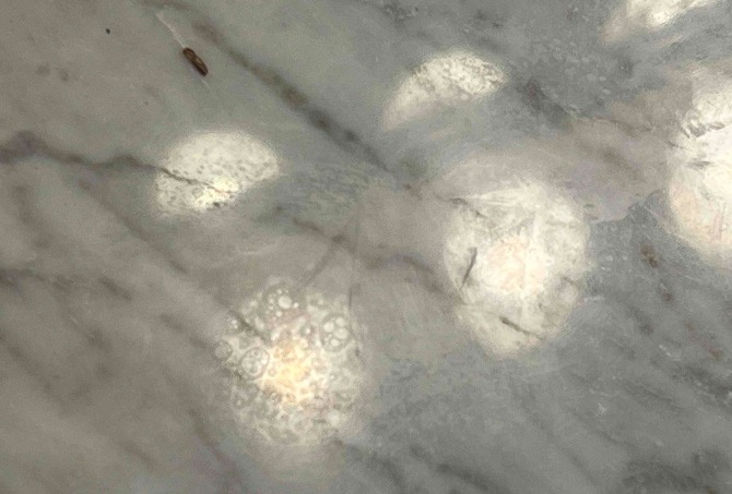 Marble Bathroom Polishing Restores Elegance | Phoenix Tiling Professionals